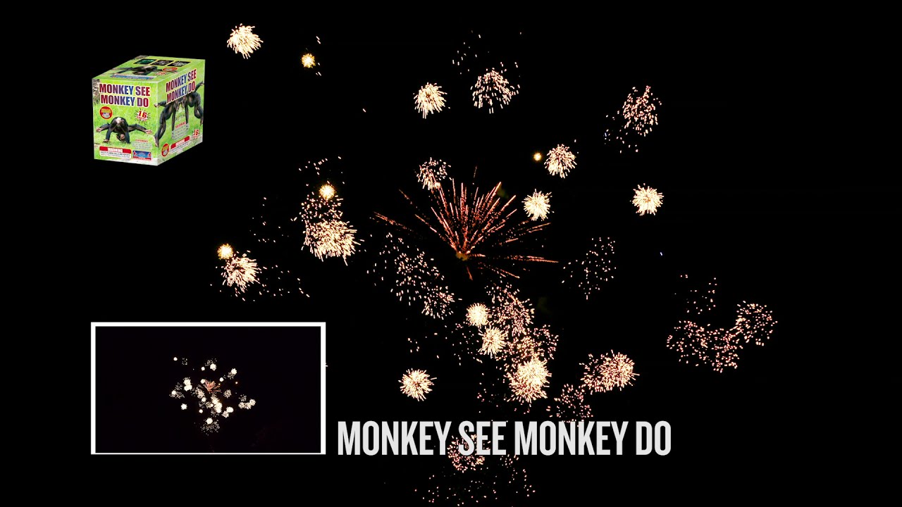 Monkey See Monkey Do 200g Firework from World Class - 16 Shots Colorful ...