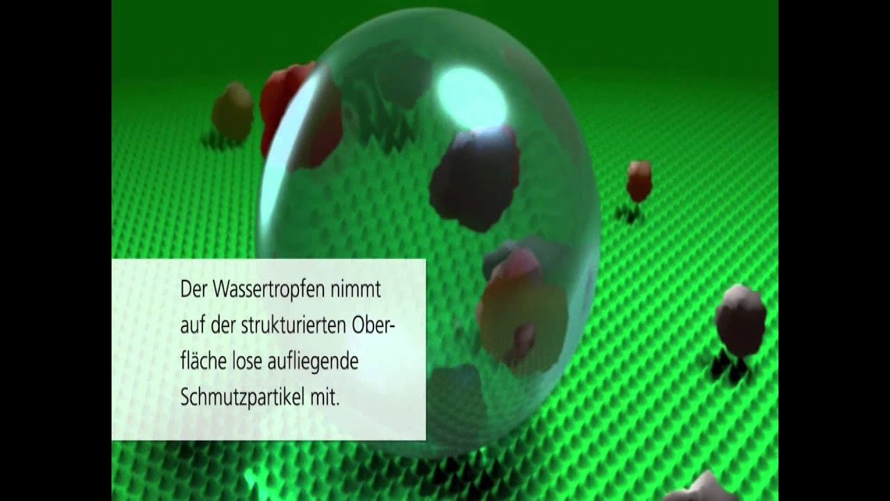 Lotusan Fassadenfarbe - Lotus-Effect®-Technology - YouTube