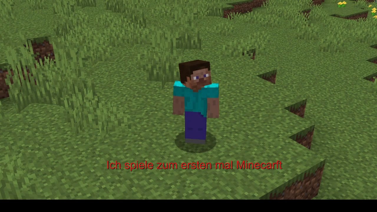 Arten von Minecraft Spielern. Teil 1 - YouTube