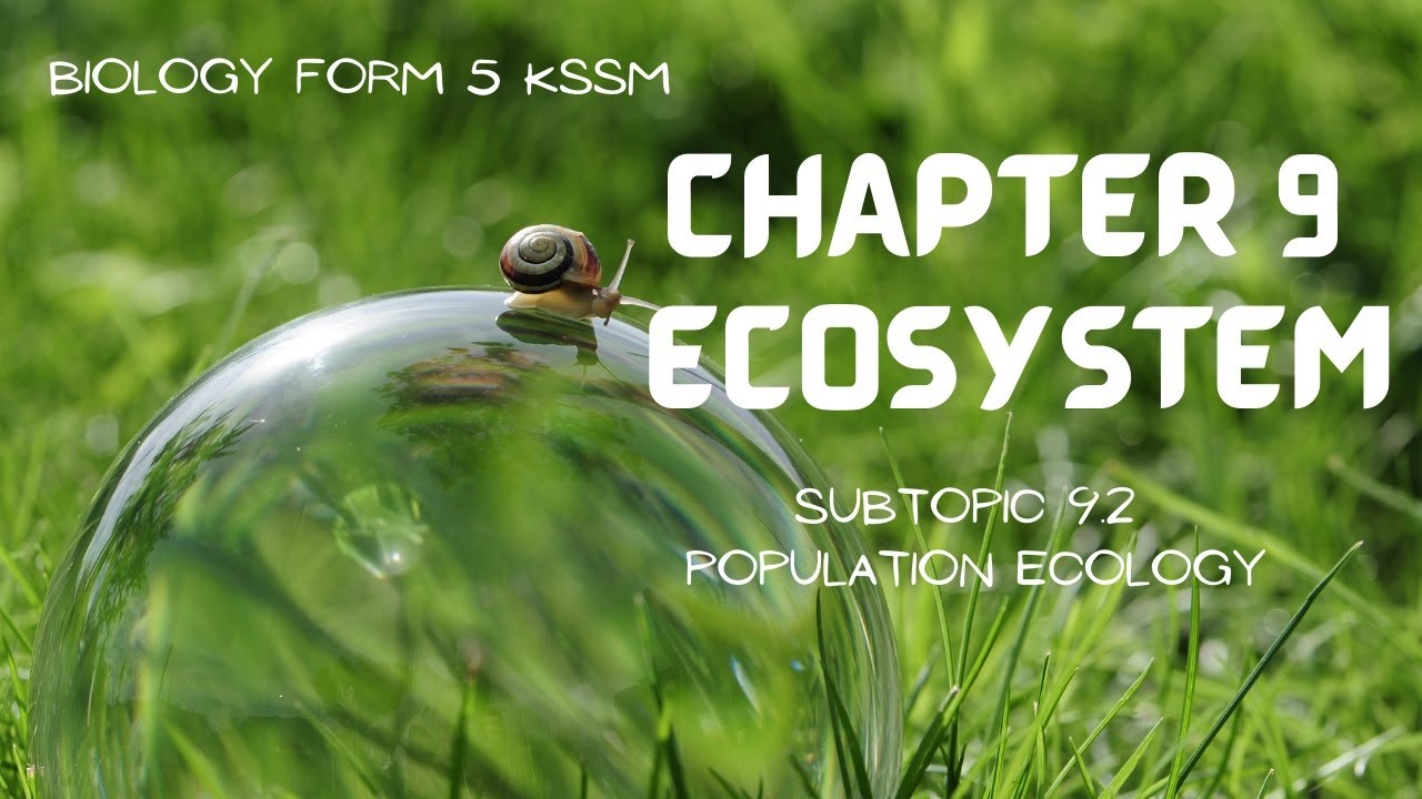 BIOLOGY FORM 5 KSSM : CHAPTER 9 ECOSYSTEM (SUBTOPIC 9.2) - YouTube