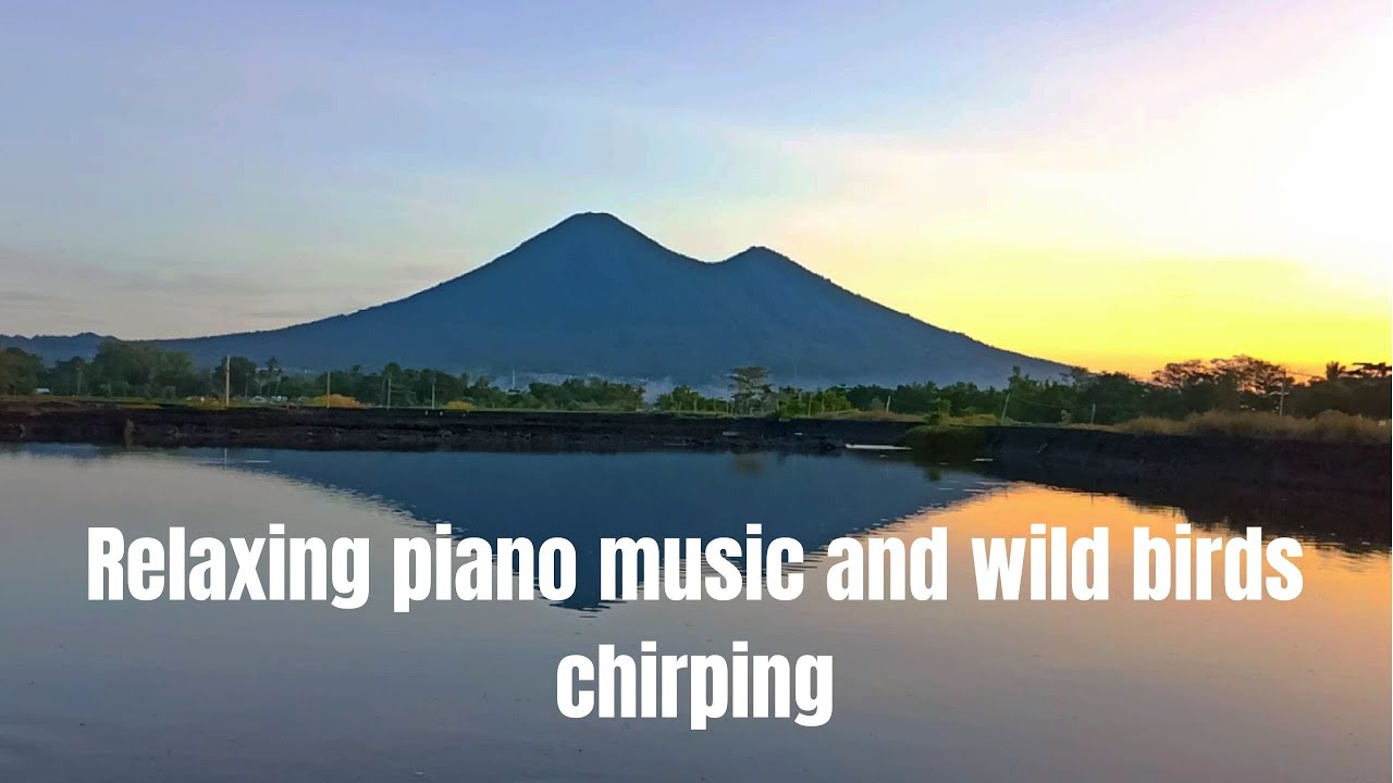 Relaxing piano music and wild birds chirping || Birds Singing ...