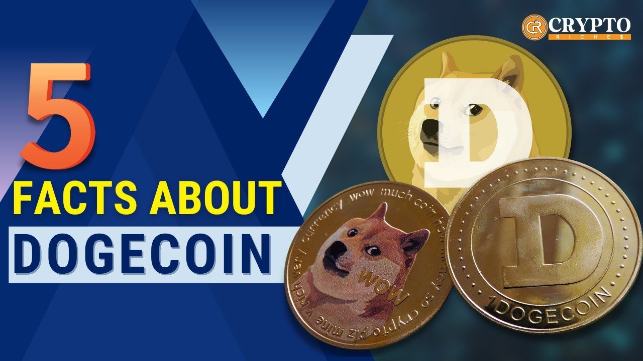 5 Dogecoin Facts | Top Dogecoin Facts You Need To Know | Dogecoin ...
