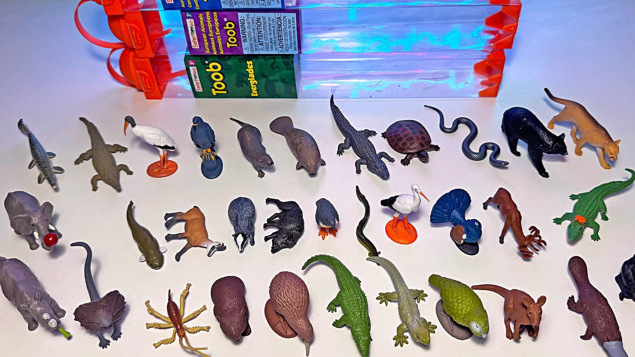 New Alligator, Crocodile, Frilled Lizard, Florida Panther, Turtle ...