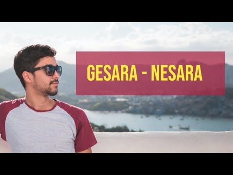GESARA and NESARA Explained - Unraveling the Truth behind Global ...
