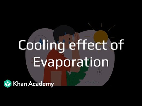 Cooling effect of evaporation| Rain: Where does it come from? | Grade 6 ...