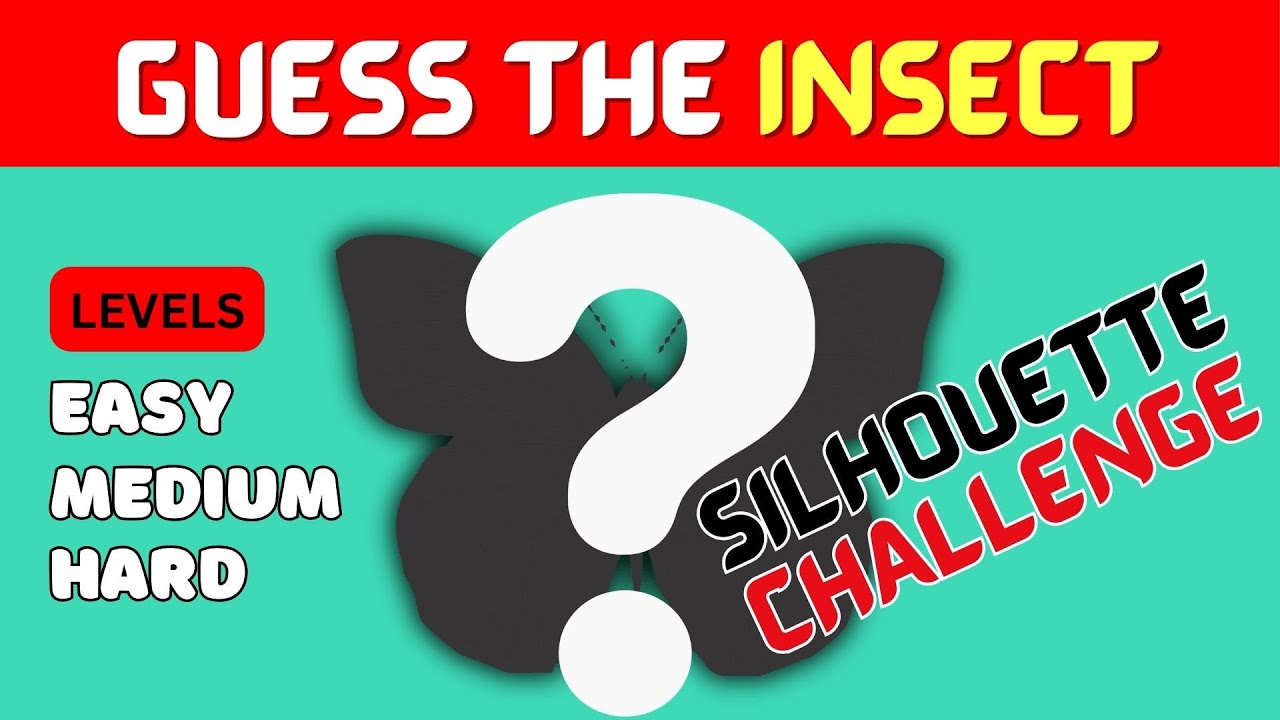 Guess the Insect by Silhouette! A-Z Insect Name Learning Game for Kids ...