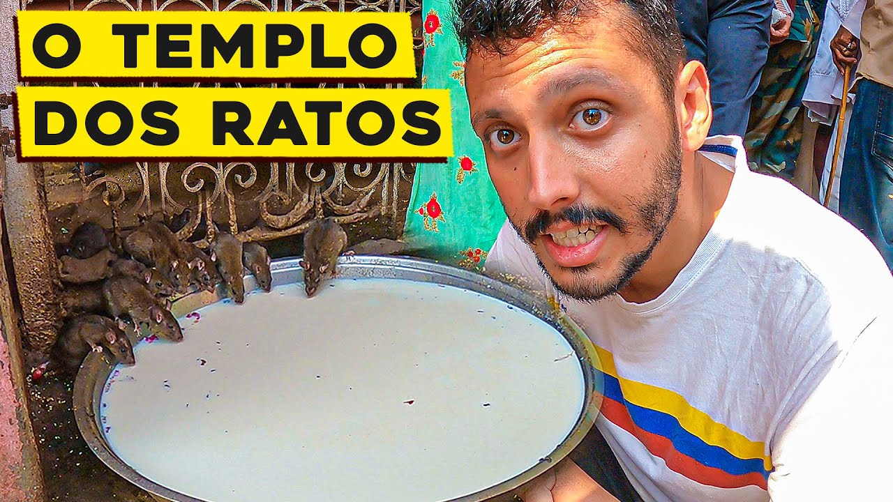 VISITAMOS O TEMPLO DOS RATOS NA ÍNDIA - YouTube