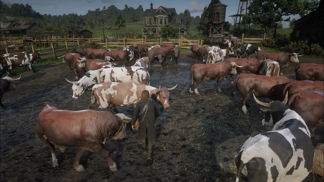 Hunting cows and fighting bulls, the second part of the game Red Dead ...