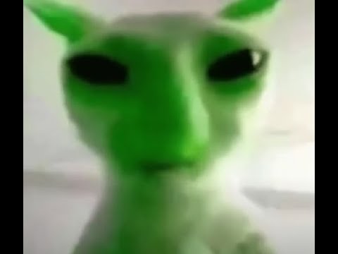 GREEN ALIEN CAT MADNESS - YouTube