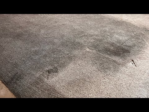 Cleaning a heavily soiled carpet with AMAZING results! - YouTube