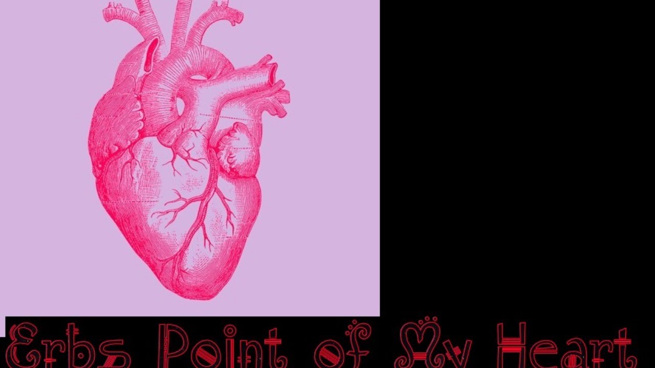 45 minute LIVE Female Heartbeat w/Breathing ASMR: Location Erb's Point ...