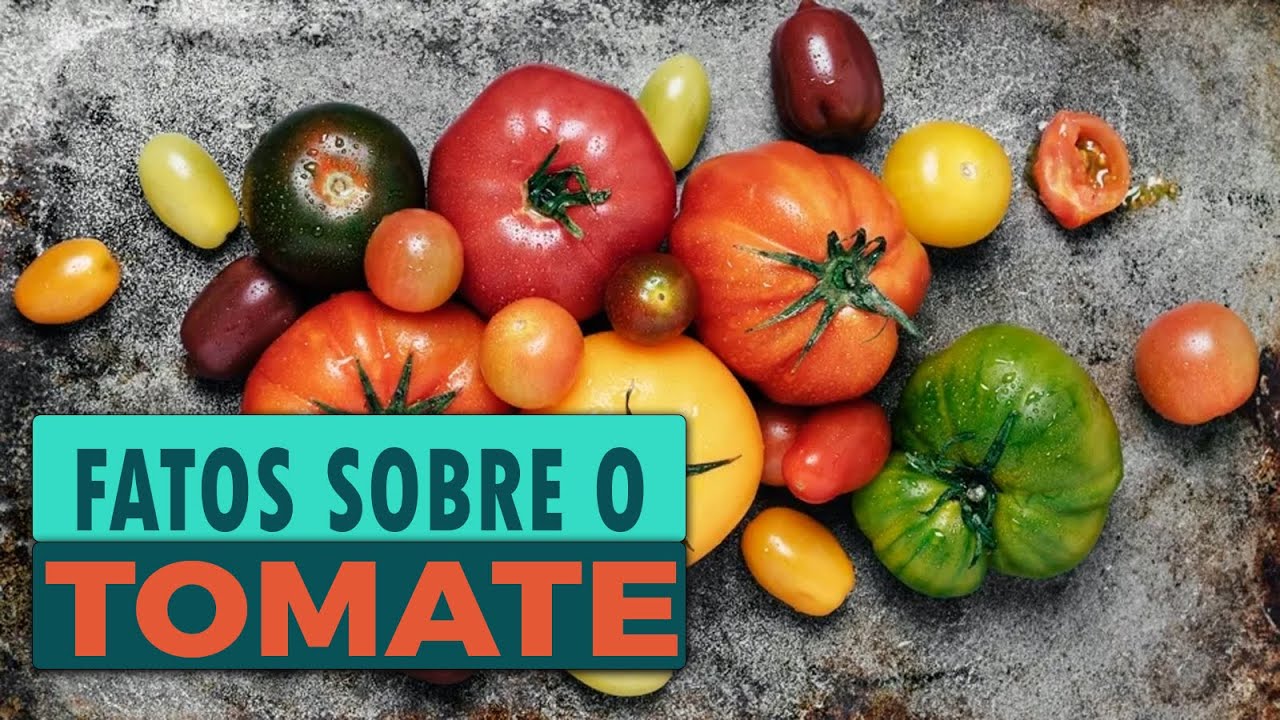 DESCUBRA OS FASCINANTES SEGREDOS DO TOMATE: ORIGEM, VARIEDADES E ...