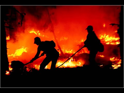 Orman Yangınları  ( TV BELGESELİ )