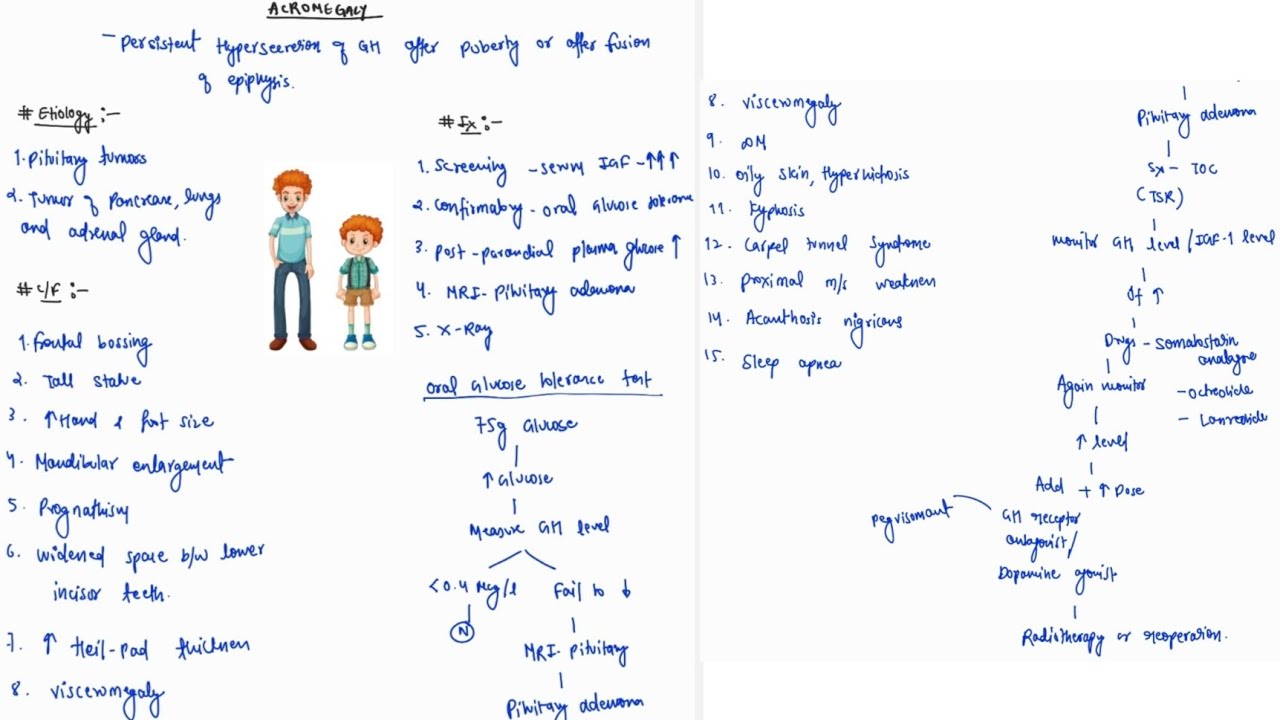 ACROMEGALY NOTES | PITUITARY | ONE PAGE NOTES | ENDOCRINE | MEDICINE ...