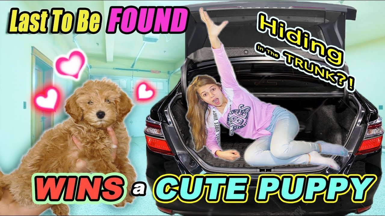Last To Be Found Wins CUTE Baby PUPPY!! Tannerites Hide And Seek GAME ...