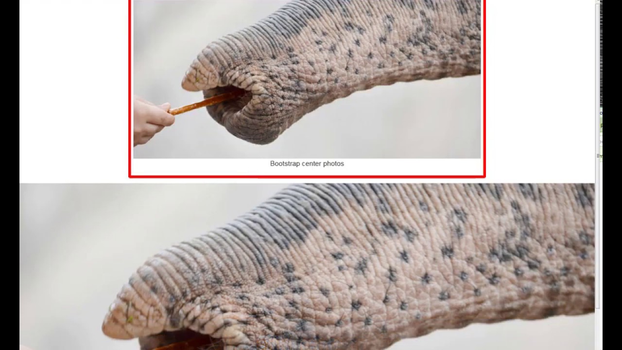 BOOTSTRAP How To Center Image On The Page YouTube BOOTSTRAP How To Center Image On The Page YouTube