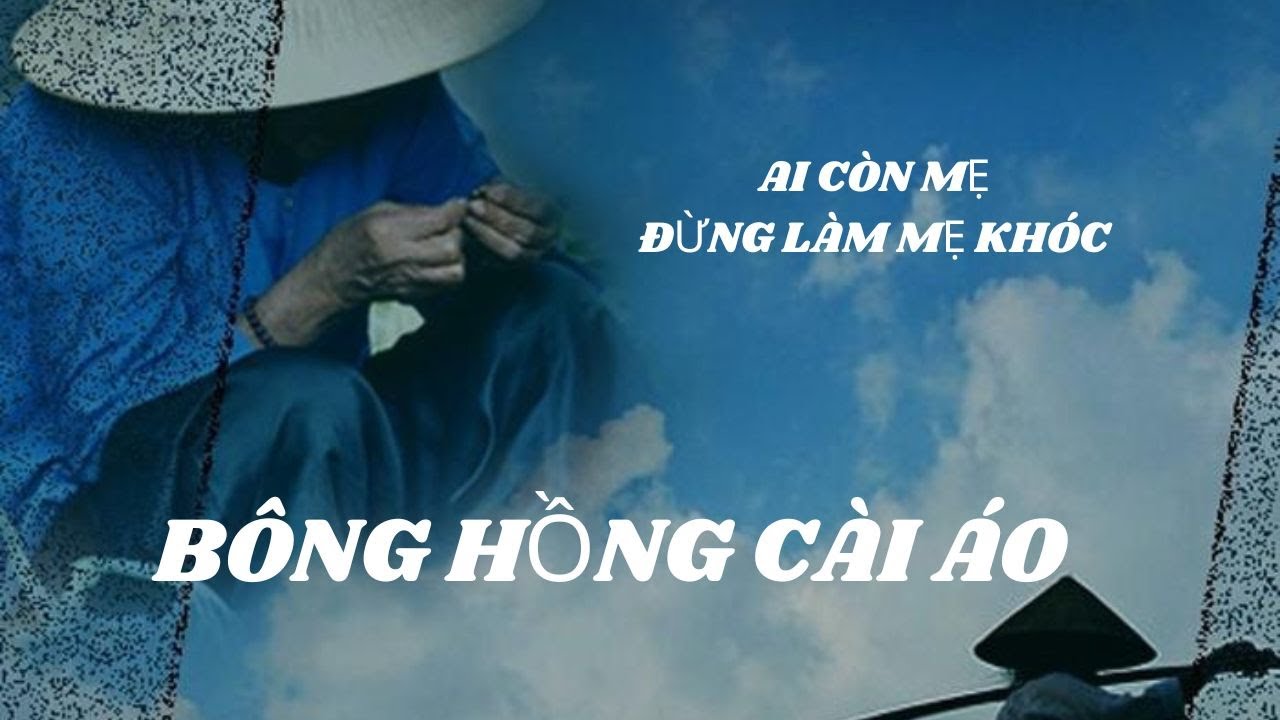 BONG HONG CAI AO-NHAC BOLERO-NHAC TRU TINH-NHAC VANG-NHAC SEN-NHAC HAI ...
