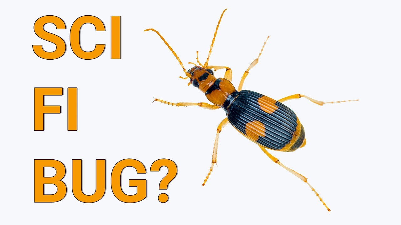 Can Science Fiction movies teach us anything about Insects? Bugs in sci-fi films. - YouTube