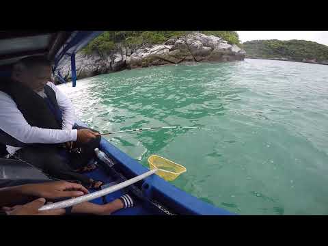 Mancing JENAHAK Pulau Tuba Langkawi!!! - Family Fishing Trip - YouTube
