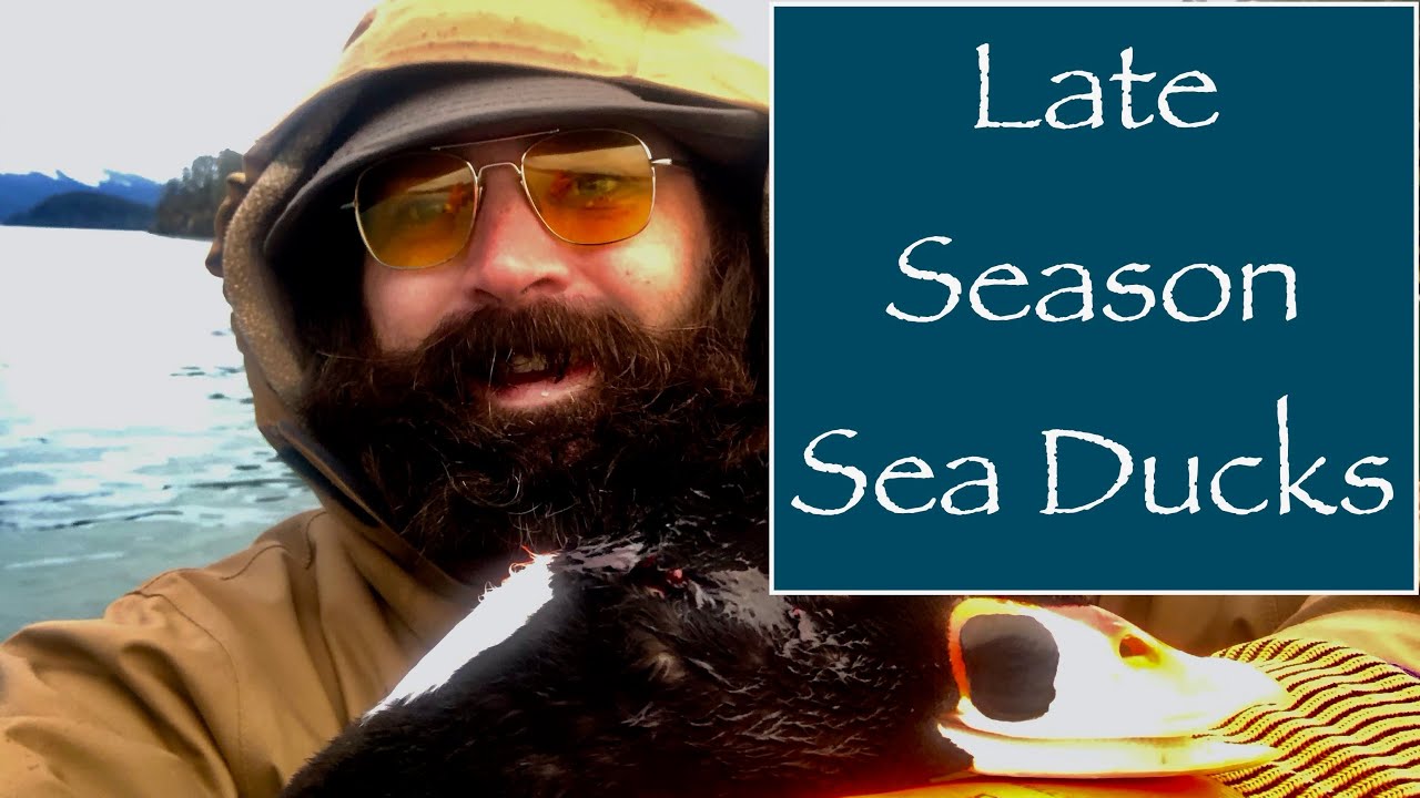 Late Season Sea Ducks, Alaska Waterfowl Hunting - YouTube