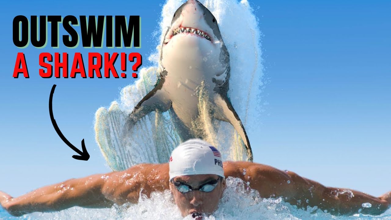 Faster than a GREAT WHITE SHARK with a JETPACK? 🇬🇧🦈 - YouTube