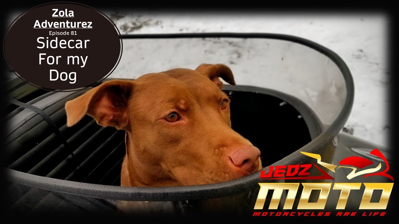 Bought a Sidecar for my Dog - Watsonian Monaco Mark 2 - YouTube