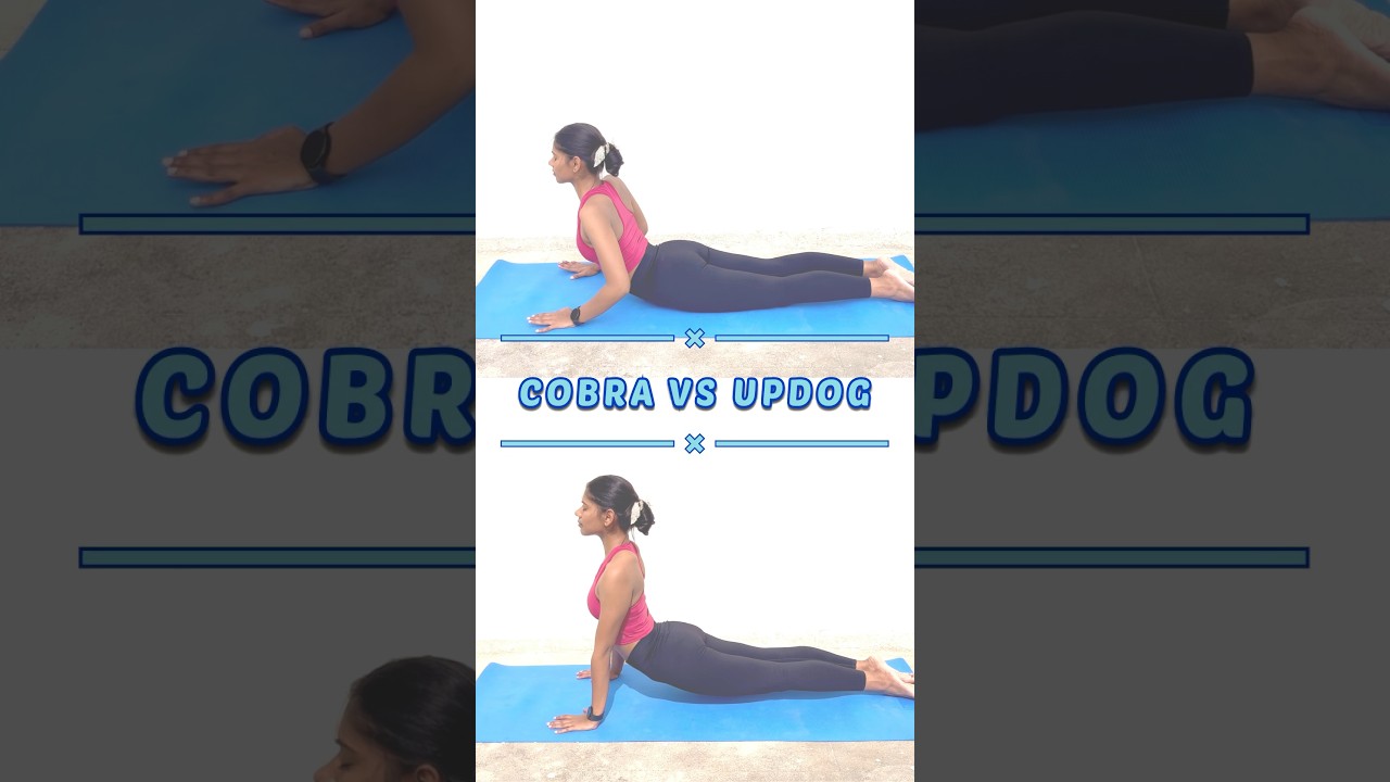 Cobra Pose VS Upward Facing Dog | Back Streching & Strengthening - YouTube