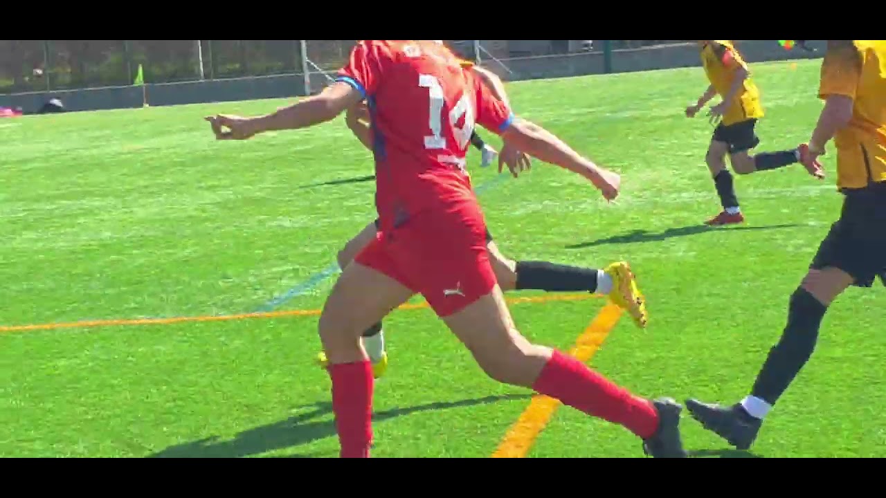 NFC ARENA - NEW STARS(1) - YouTube
