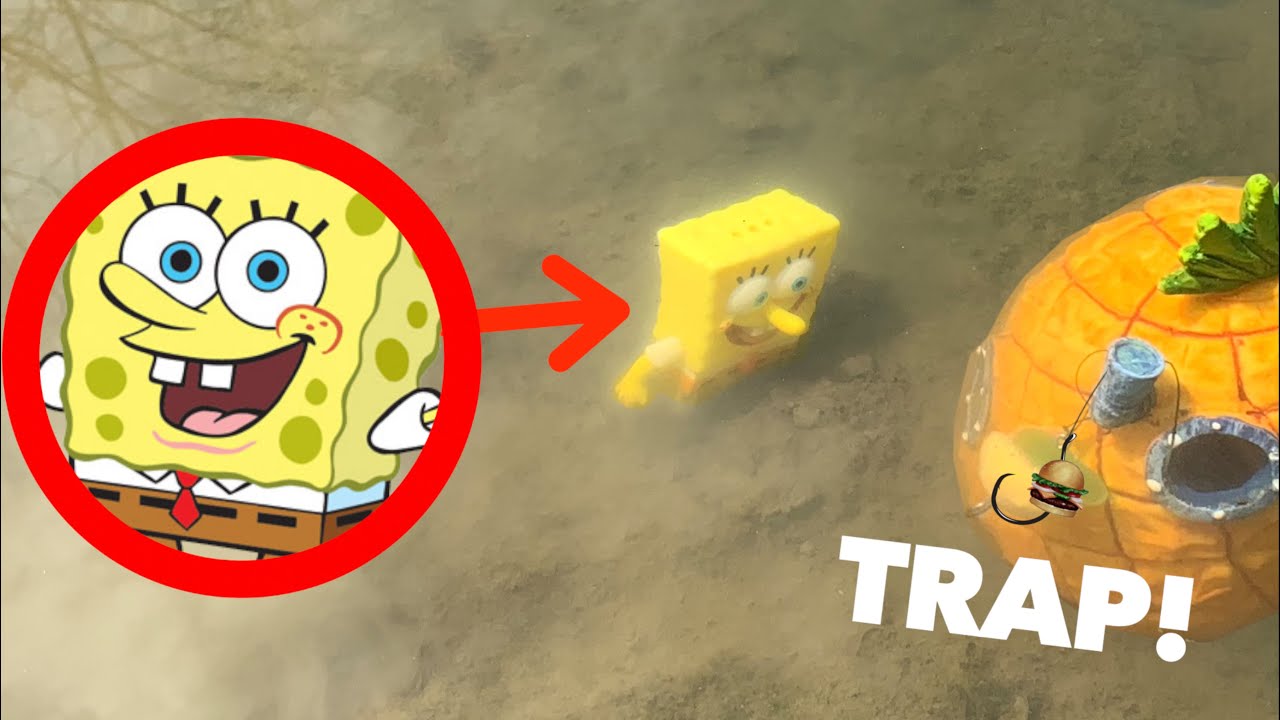 I CAPTURED SPONGEBOB IN REAL LIFE! - YouTube