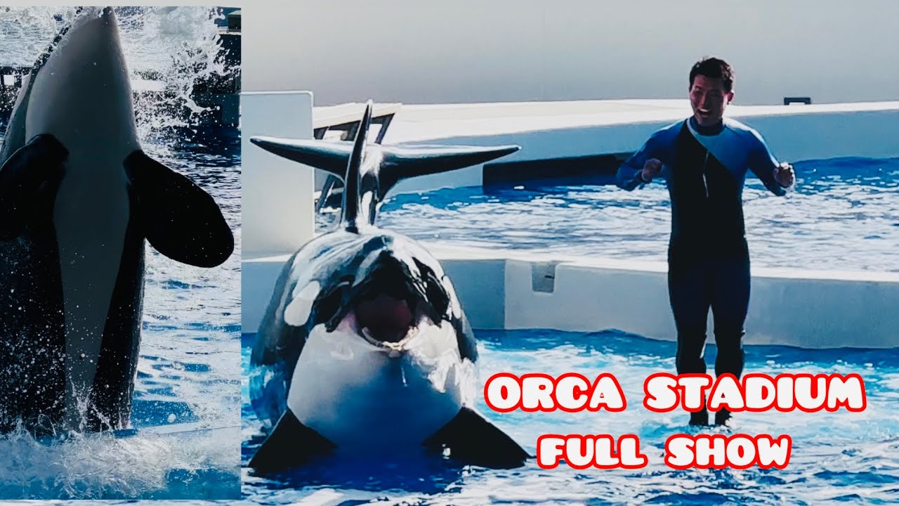 ORCA STADIUMオルカスタディアム#fullshow at KOBE SUMA SEA WORLD ( Part 5 ) - YouTube