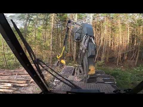Viikon vanha metsäpalo alueella Ponsse Fox H6