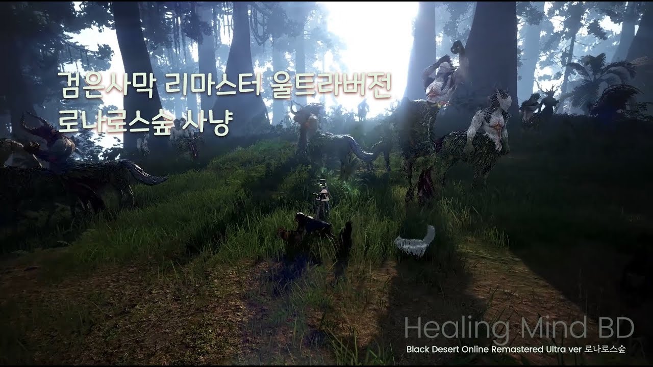 검은사막 리마스터 울트라 버전 로나로스숲 사냥 / Black Desert Online Remastered Ultra ver ...