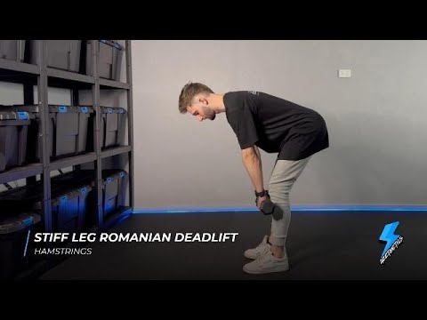 DB Stiff Leg RDL - Exercise Tutorial - YouTube