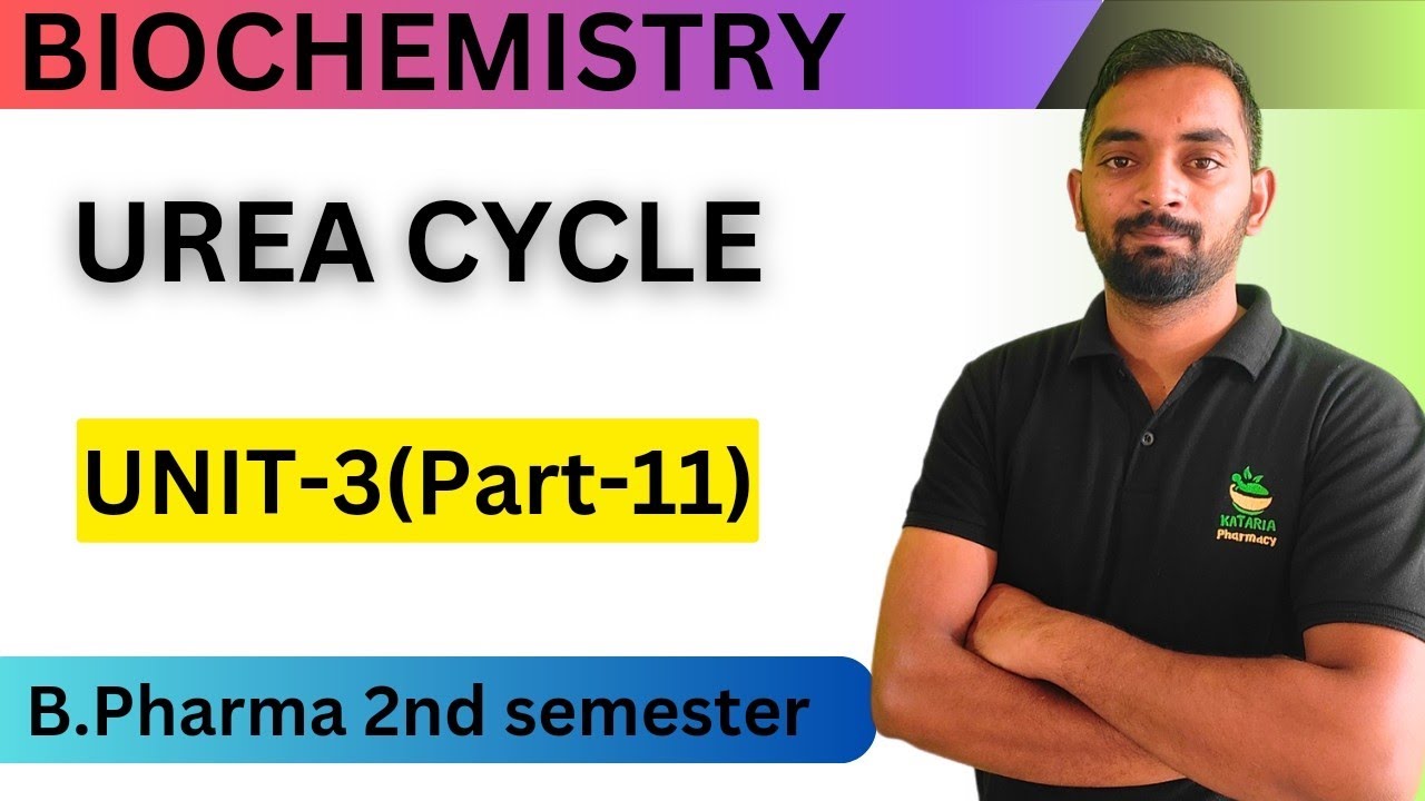 Urea Cycle, Biochemistry,Unit-3(Part-11) B.Pharma 2nd semester - YouTube