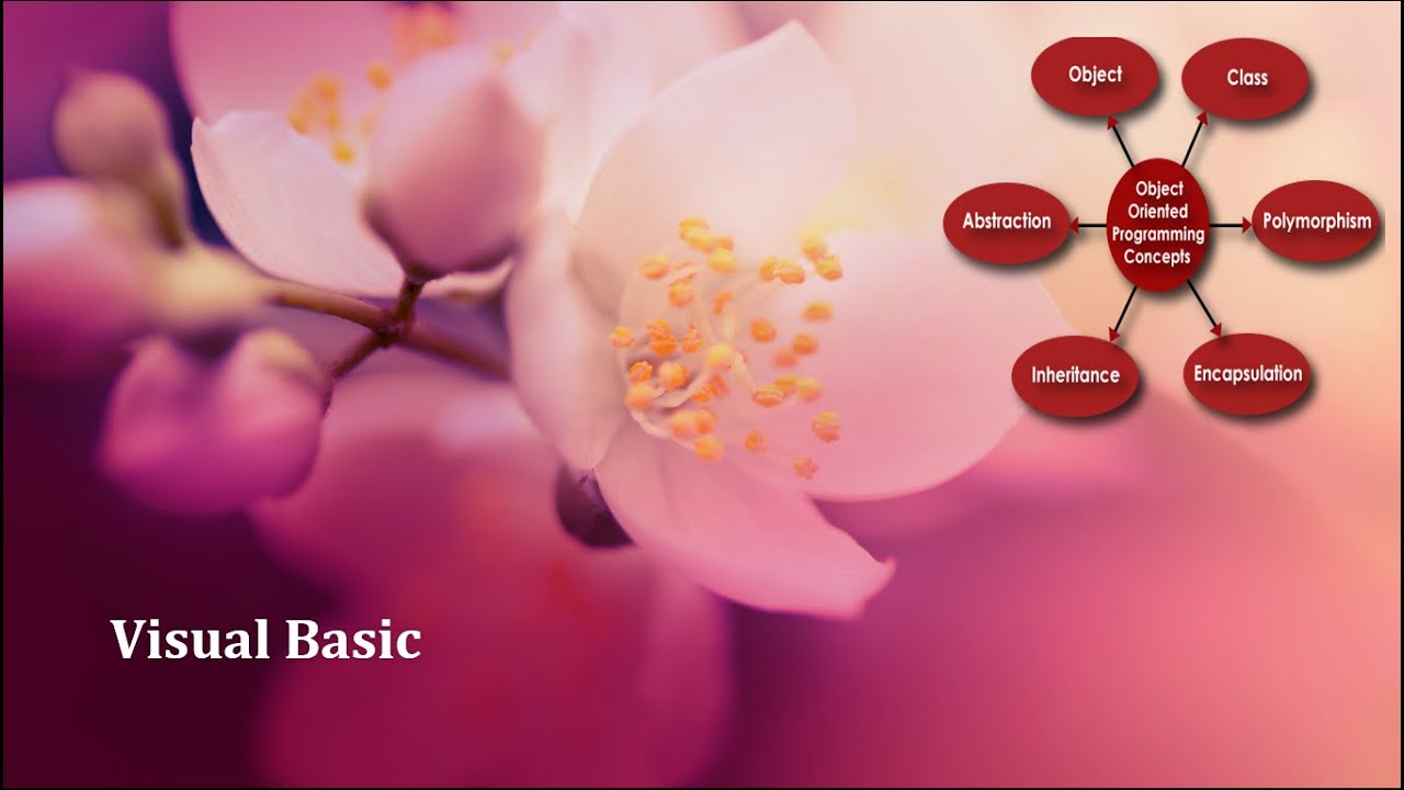 Visual Basic_Insert record to database_Lesson 9 - YouTube