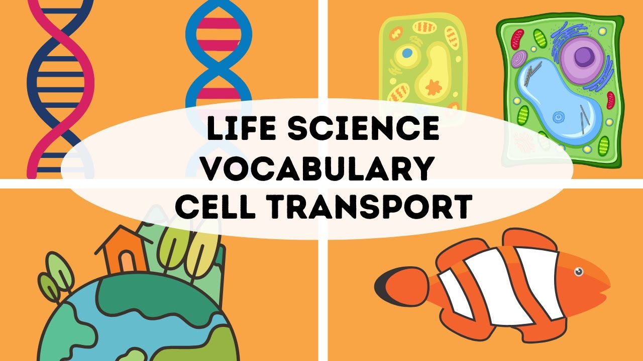 Life Science Vocabulary week 4 - YouTube