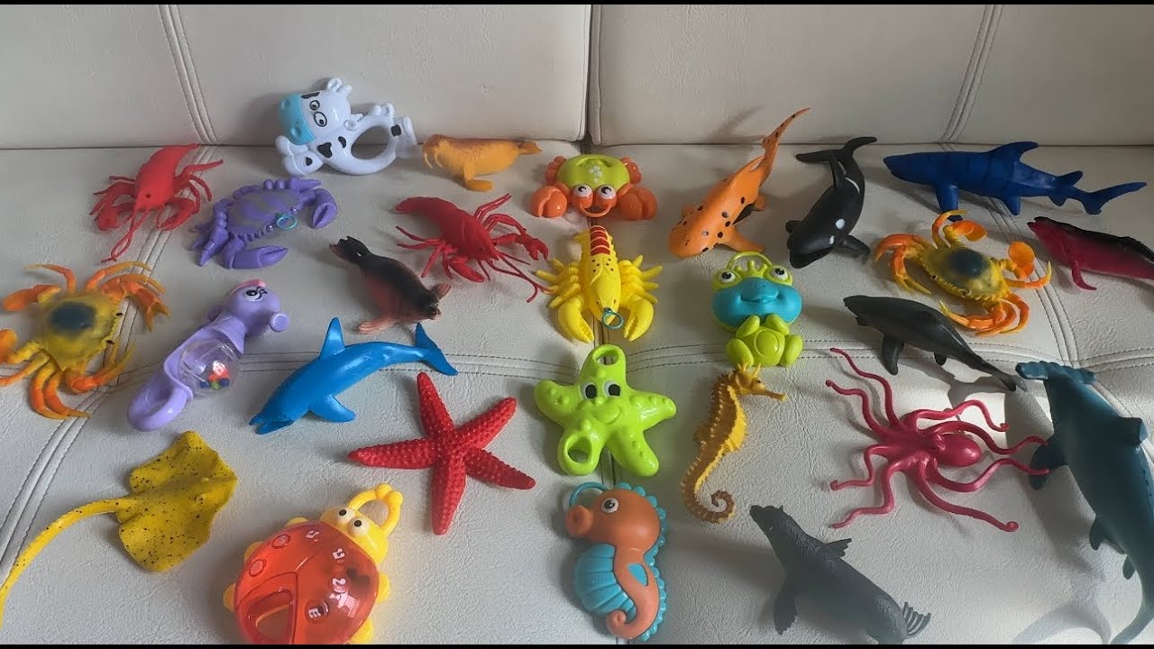 🦊 ASMR_Video * Mix Of Random Animals Toy Of Different Types And Colors ...