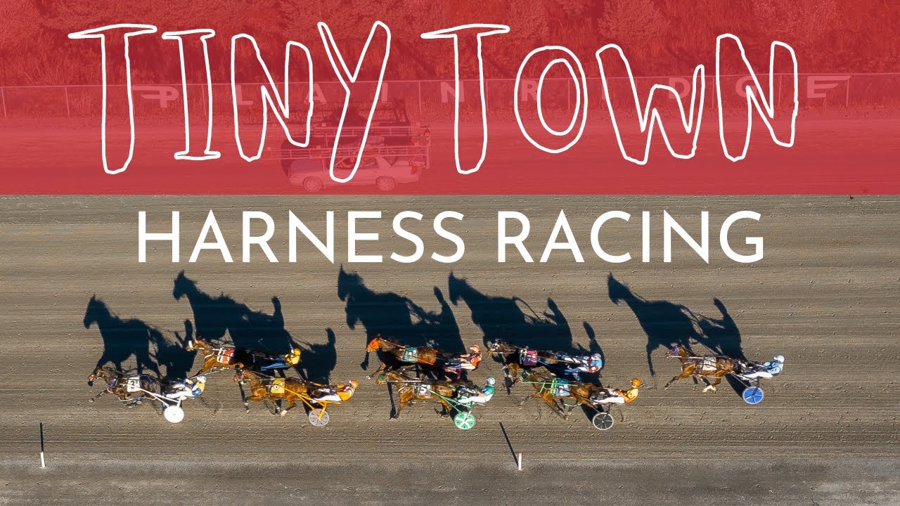 Tiny Town Harness Racing at Plainridge Park - YouTube