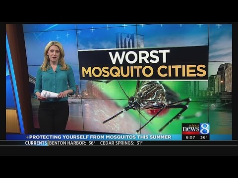 What Cities In Michigan Worst For Insects