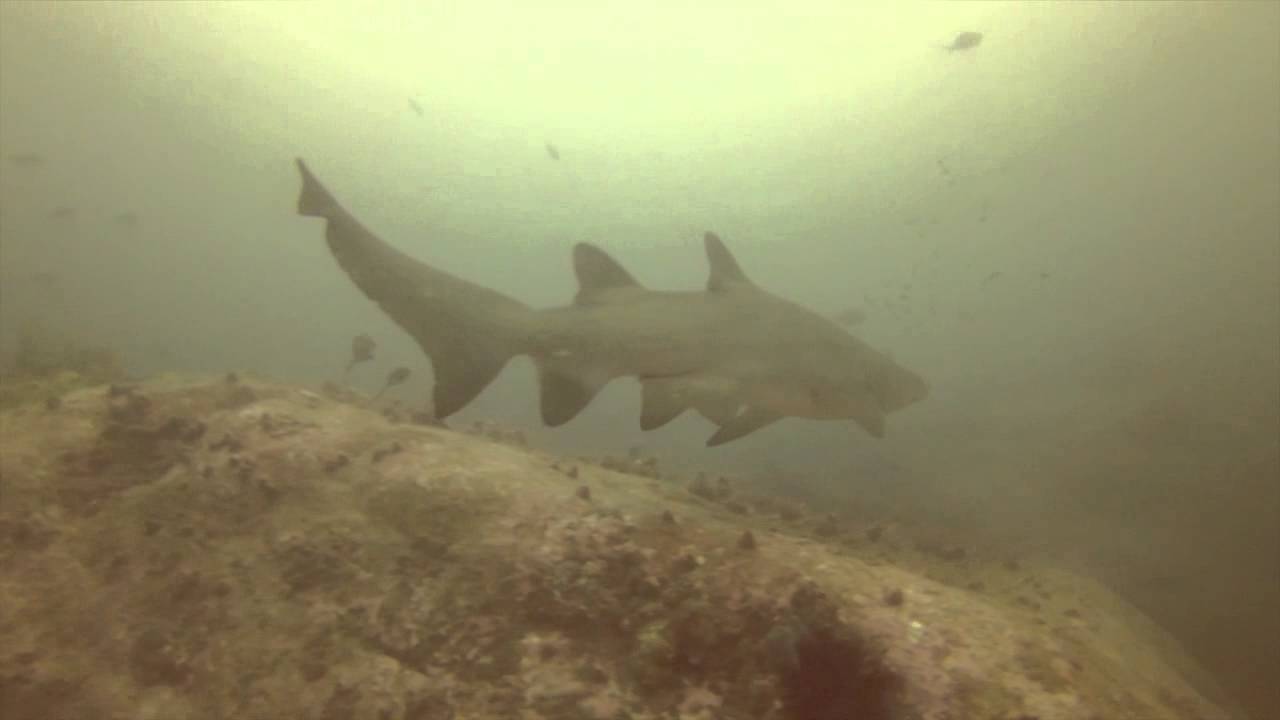 Magic Point - YouTube