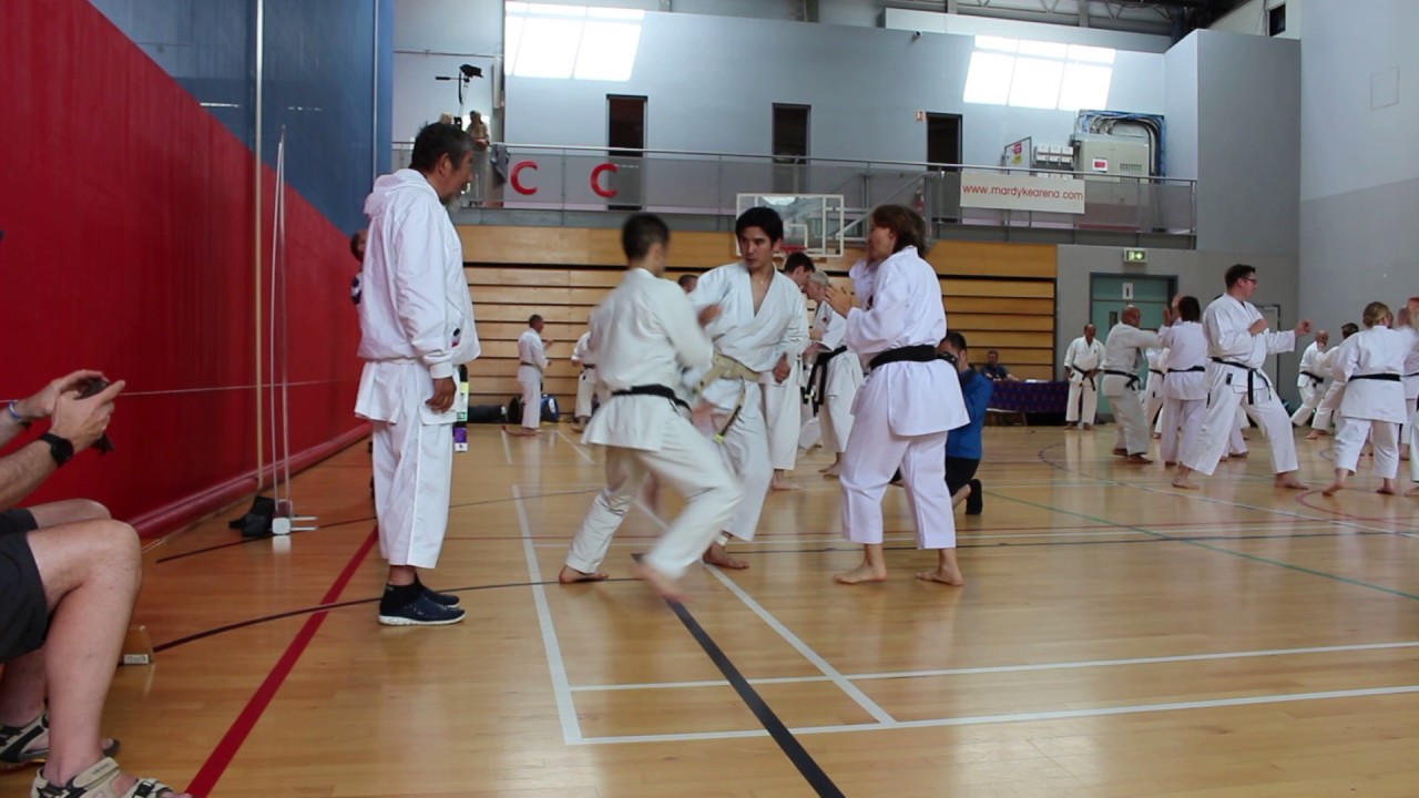 IJKA World Championship 2017 - Thursday Seminar - YouTube