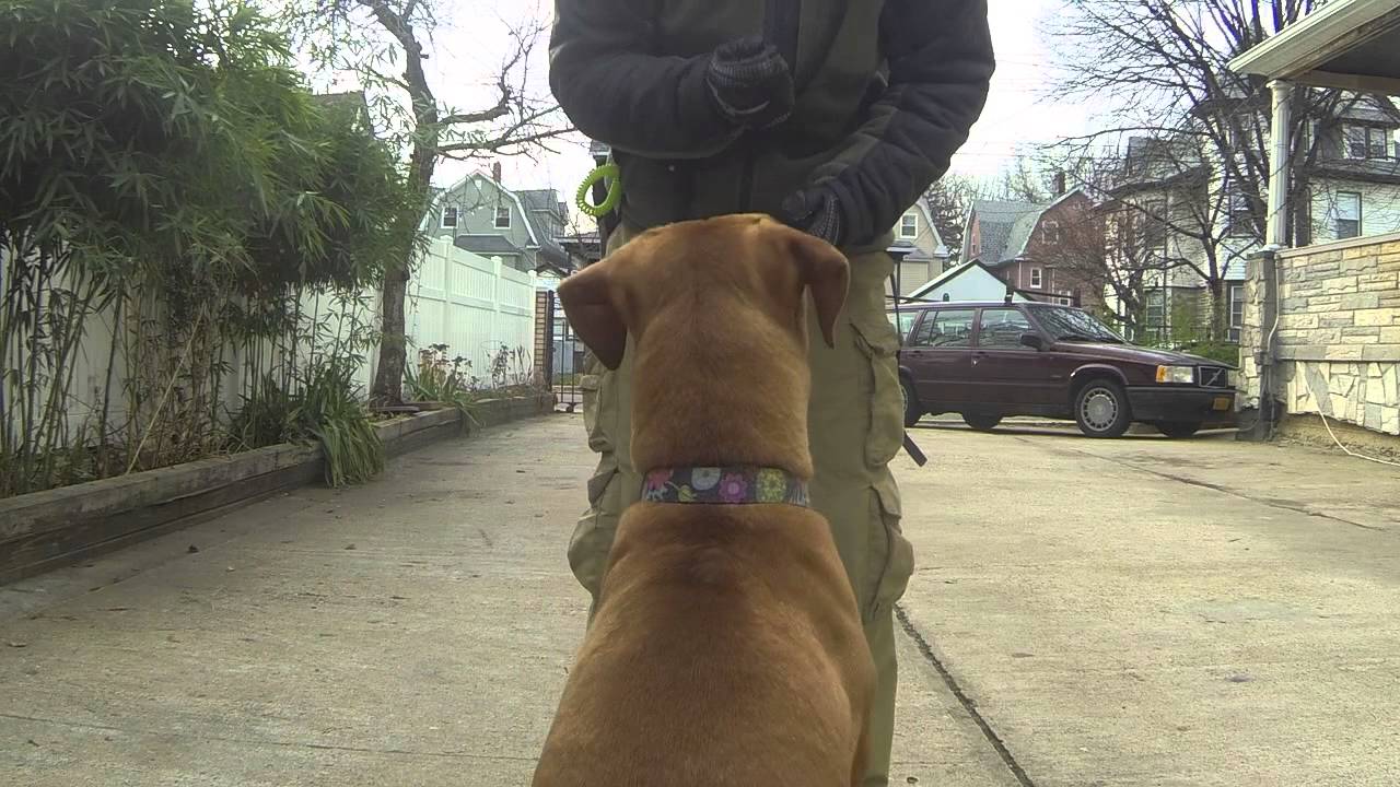 Developing vocabulary Part 2 - Marker Training Proper food delivery ...