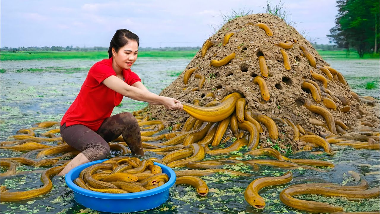 Harvesting 1000kg+ of giant rotten eels & Go To Market Sell - The eel ...