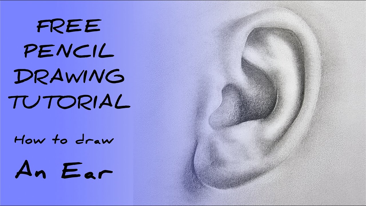 Free Pencil Drawing Tutorial: Step-by-Step Guide to Drawing a realistic ...