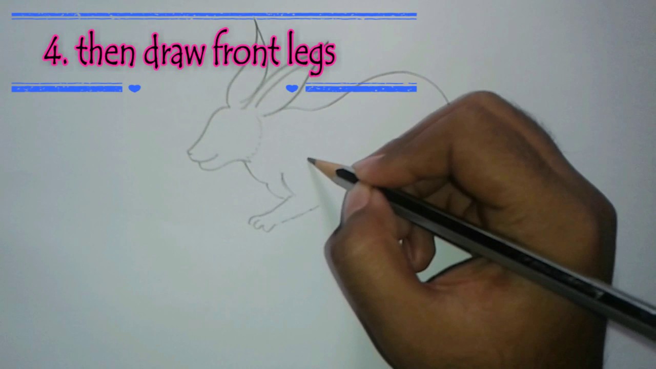 how to draw a rabbit step by step (animal art) - YouTube