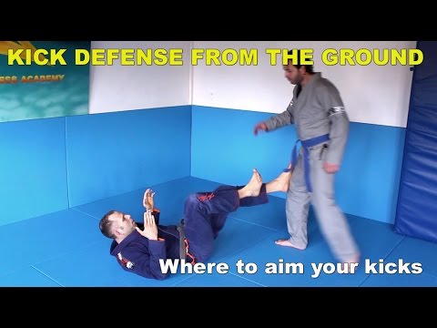 Detail about Kick Defense from the Ground - Where to aim - YouTube