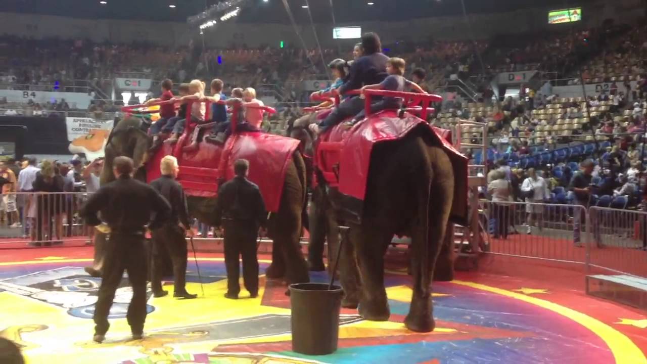 Jane rides elephant - YouTube