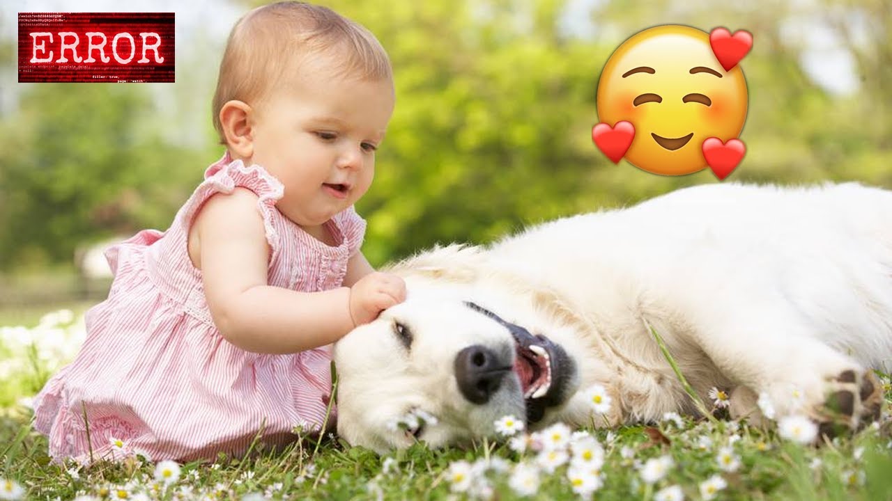 CUTEST PETS AND KIDS COMPILATION - YouTube