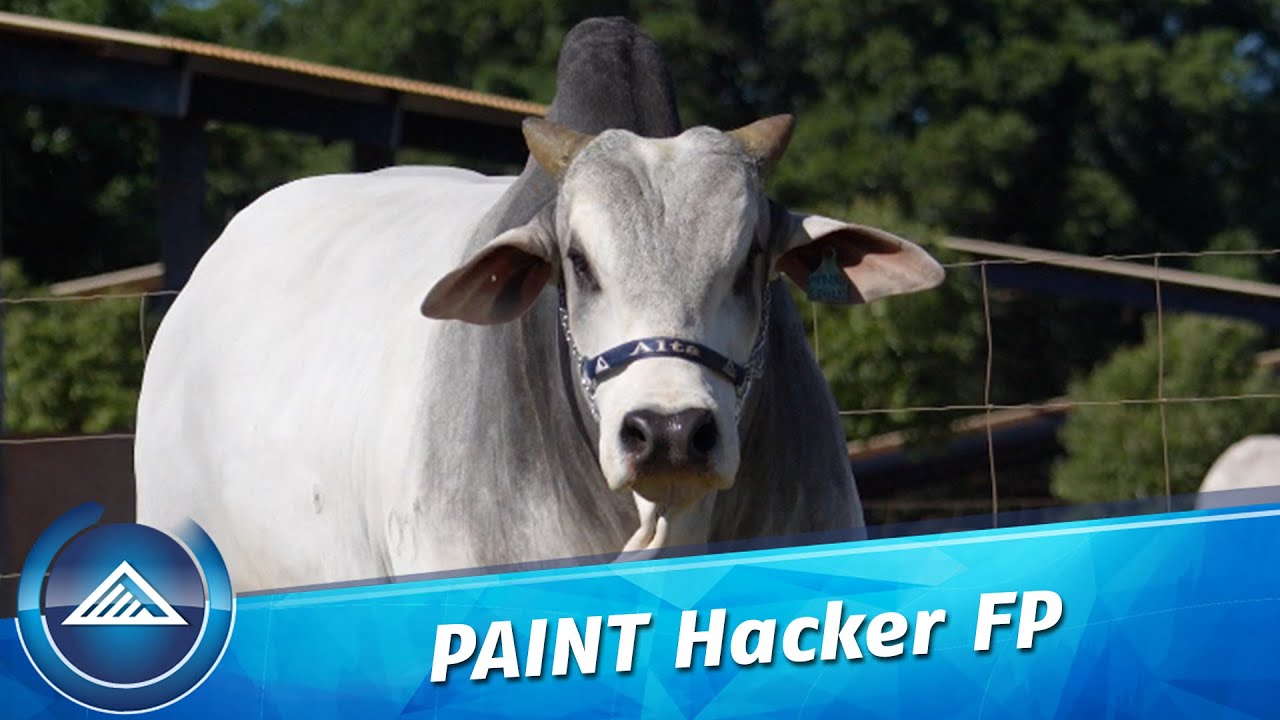 PAINT Hacker FP - YouTube