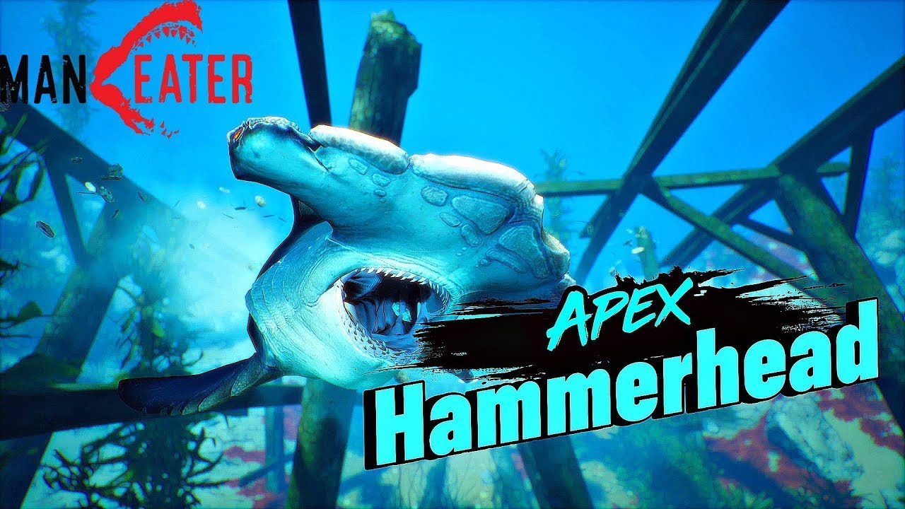 APEX HAMMERHEAD SHARK BOSS IN MANEATER EPISODE-04 !... - YouTube